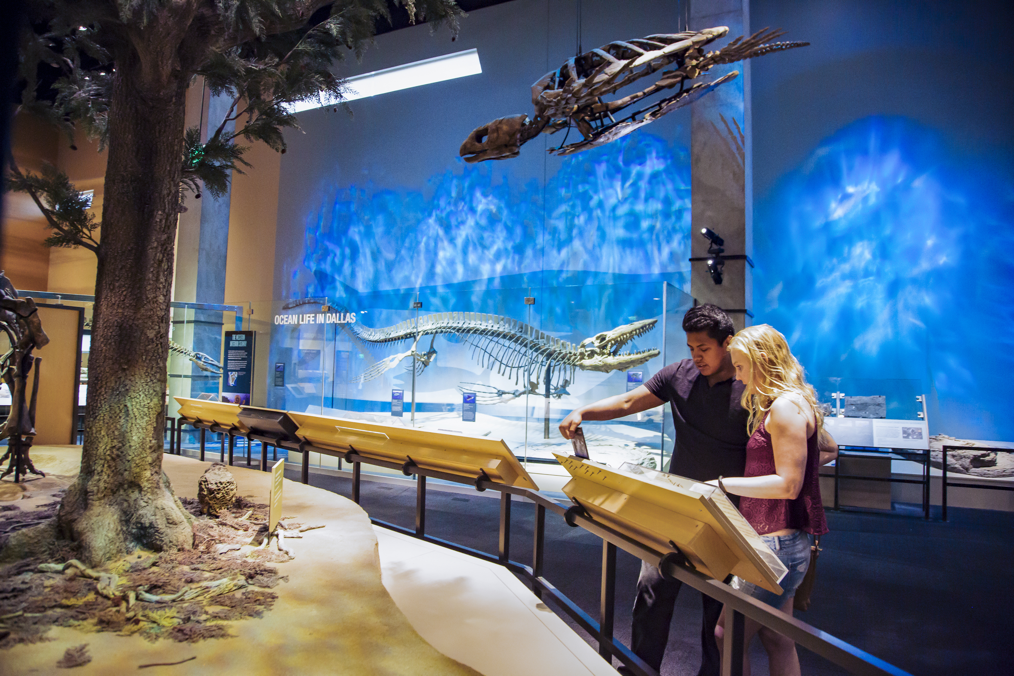 Things To Do in Dallas | Perot Museum of Nature and Science